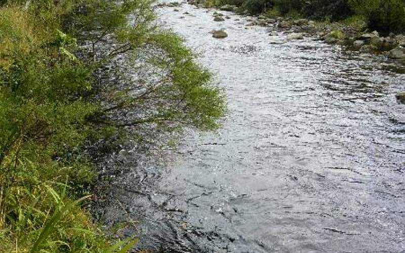Dickey Flat Campsite | Freedom/Basic Camp | New Zealand